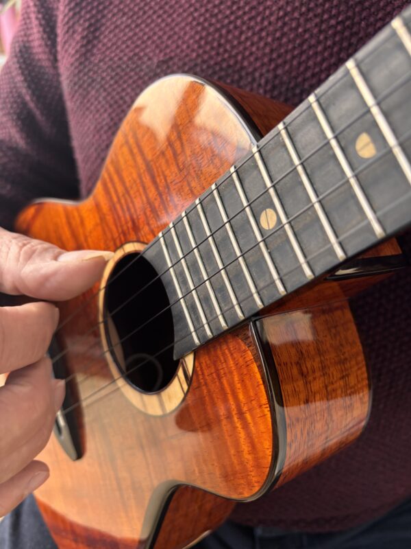 Ukulele Ensemble Day. St Andrew's Church Penistone Saturday 7th ...
